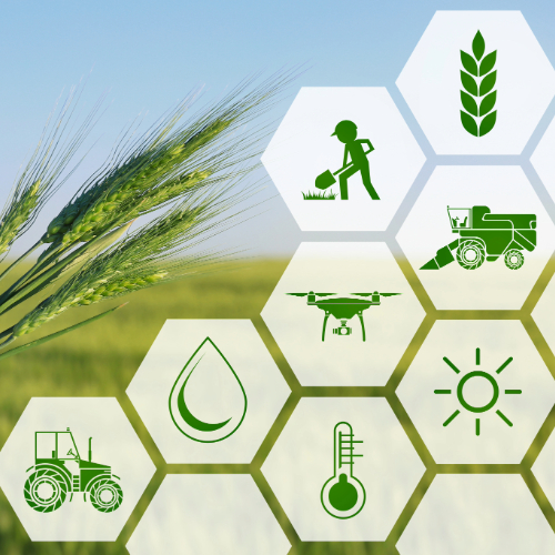 AgriTech Conferences in 2024-2025